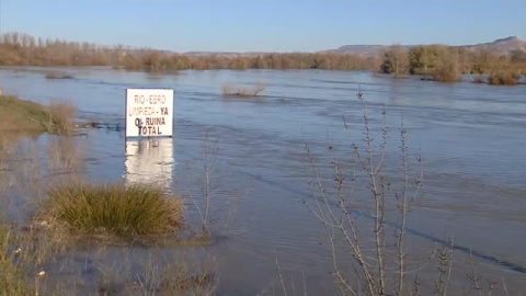 Se desborda el Ebro | Público