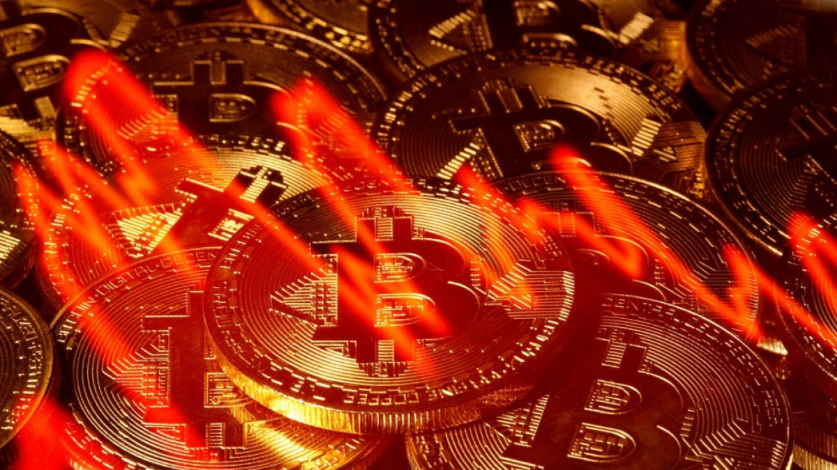 Rescatar a los criptobros | Público