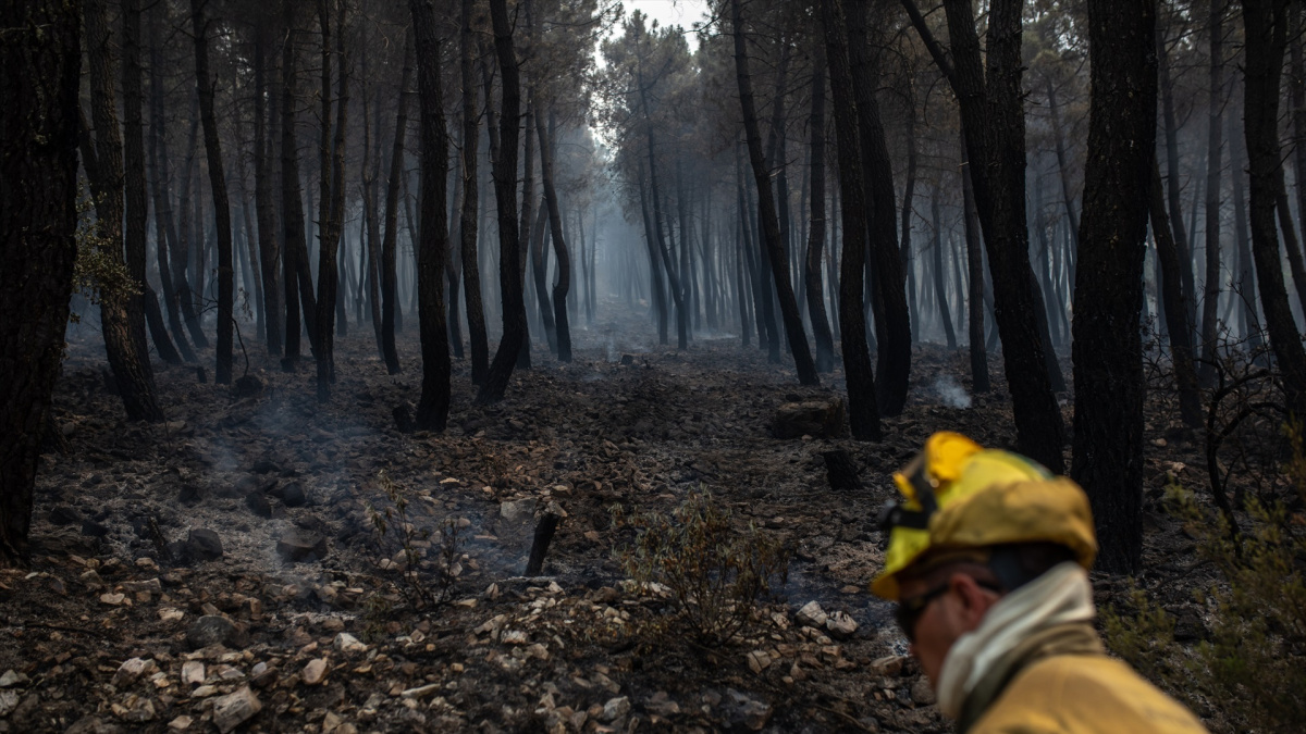 Ansiedad climática: hay que romper el ciclo | Público