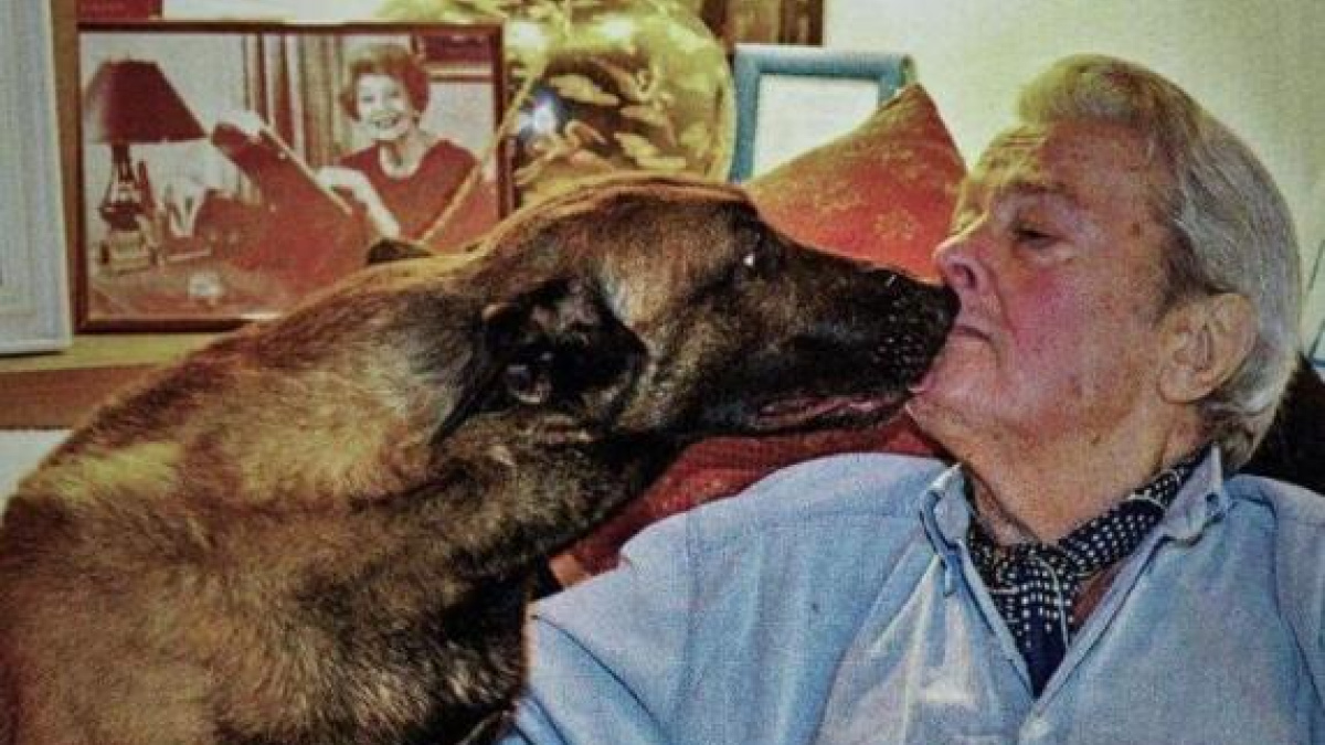 "Por supuesto que Loubo no será sacrificado": Alain Delon quería que su ...