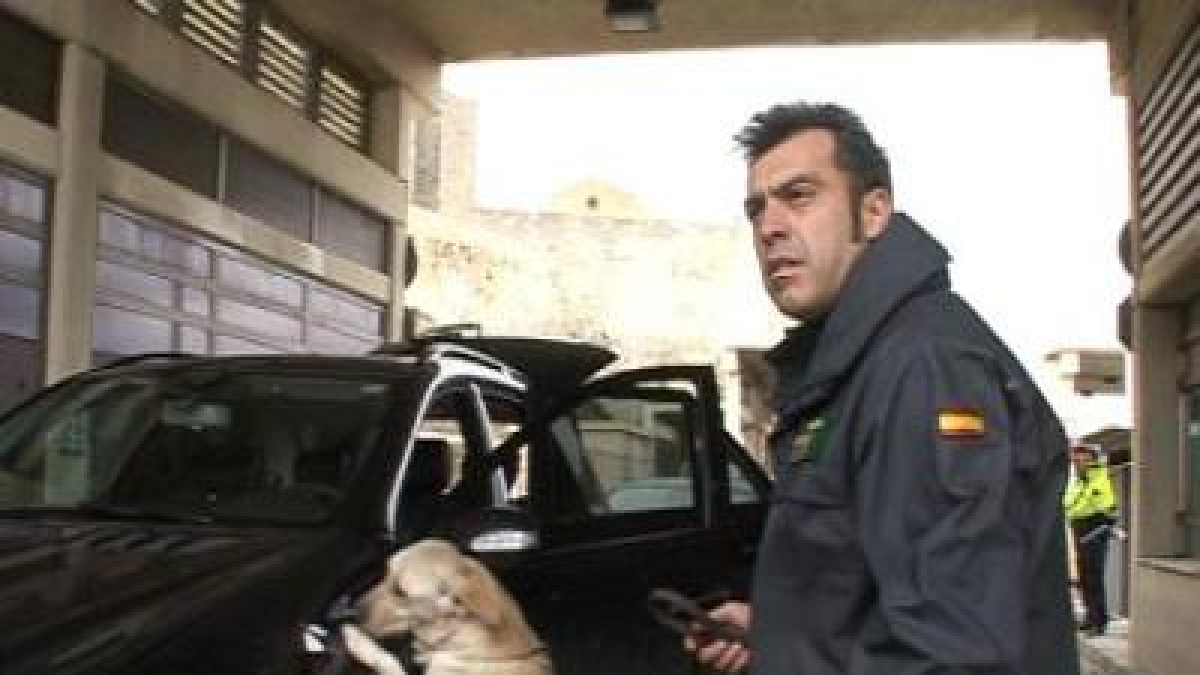 La tele une al vip y al don nadie | Público