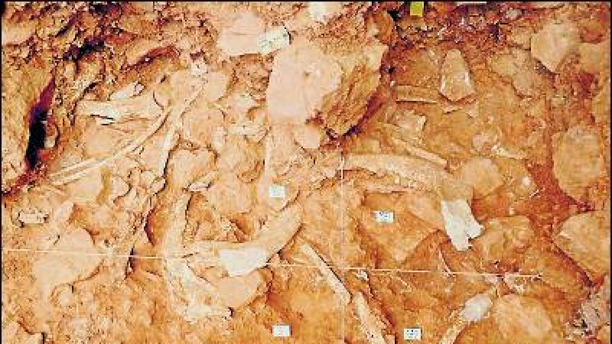 Atapuerca vivió rituales caníbales durante más de un millón de años ...