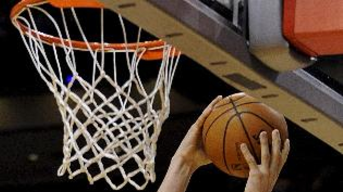 Stoudemire, Iverson y Roy reivindicaron su liderazgo | Público