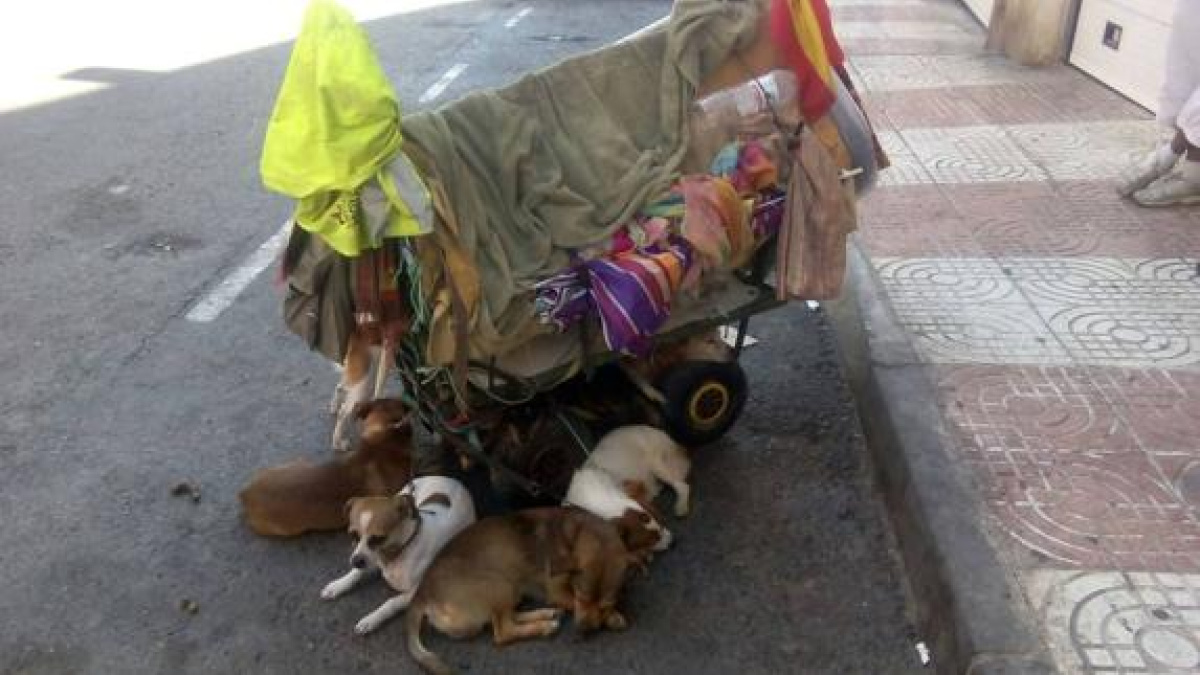 Un policía de paisano pilla in fraganti a un hombre matando a un perro ...