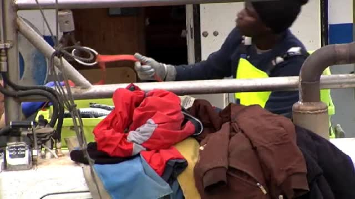 Los pescadores vuelven a faenar | Público