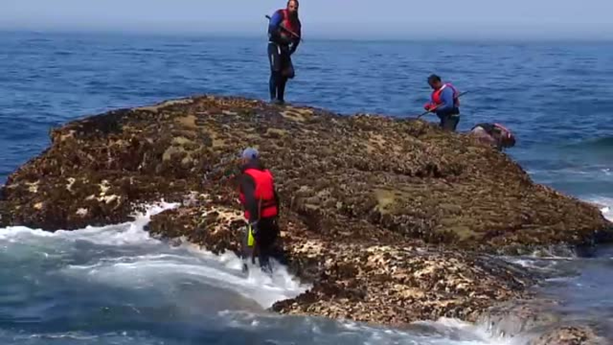 Los percebeiros, un trabajo a merced del mar | Público