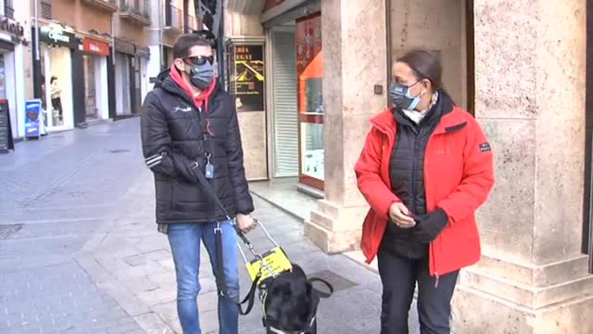 Xabat, el primer perro que guía a una persona ciega y sin manos | Público