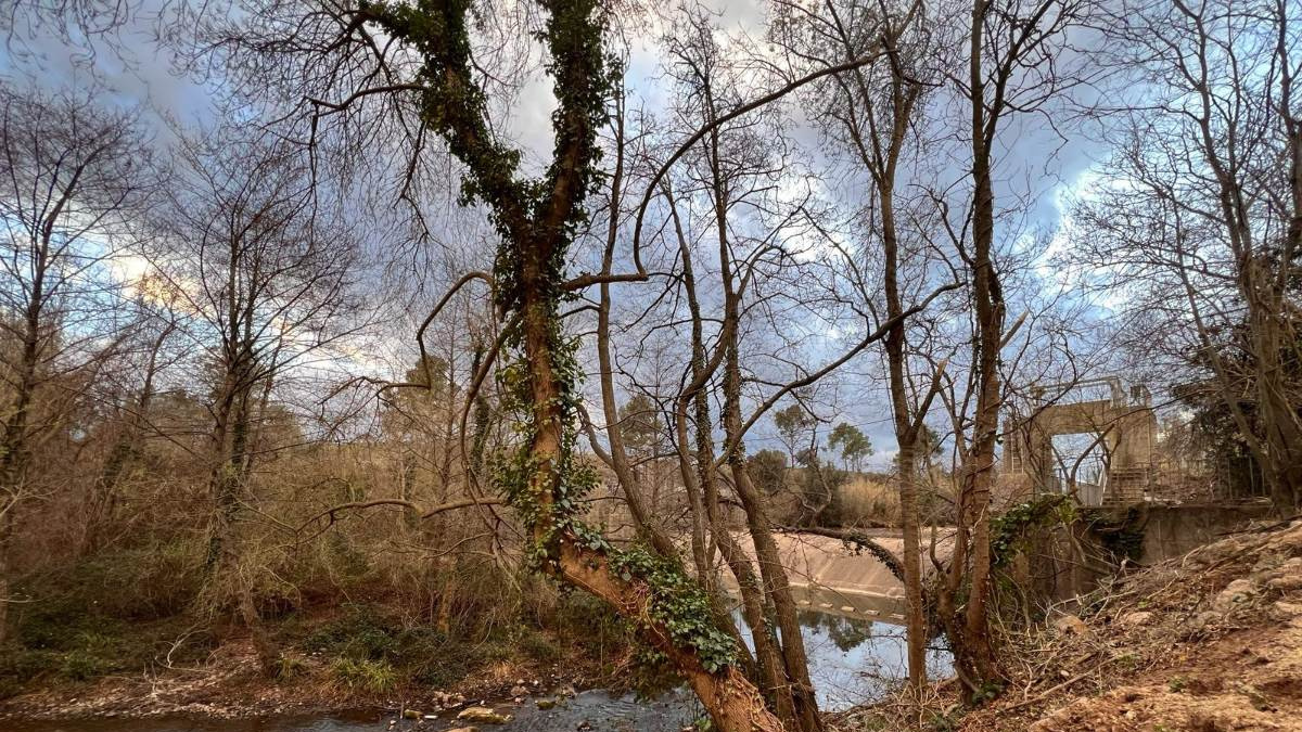 Els 22 municipis de l'Alt Empordà que depenen de l'aqüífer Fluvià-Muga tornen a l'emergència per ...