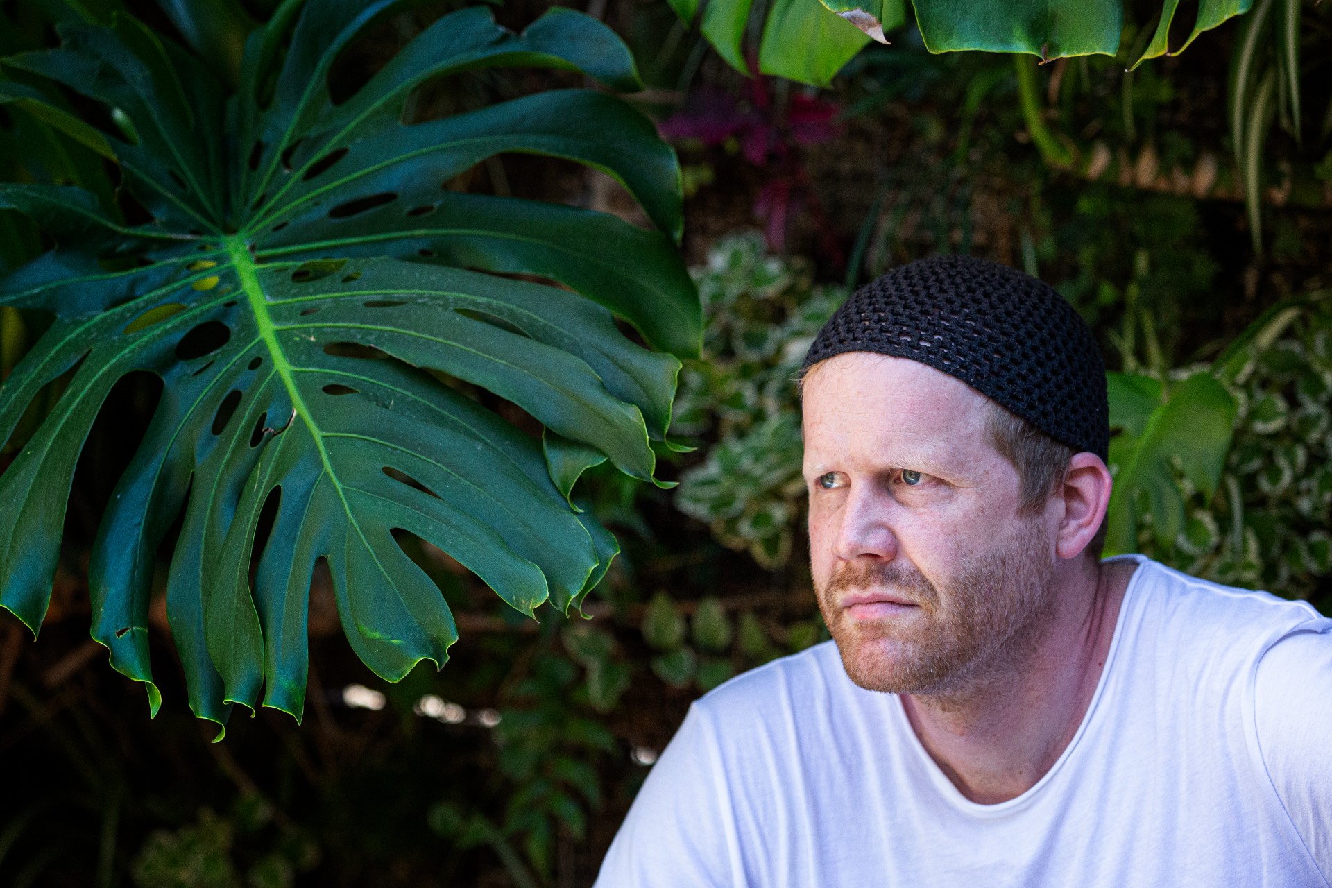 Andreas Malm: "La tarea para la izquierda es transformar la emergencia ...